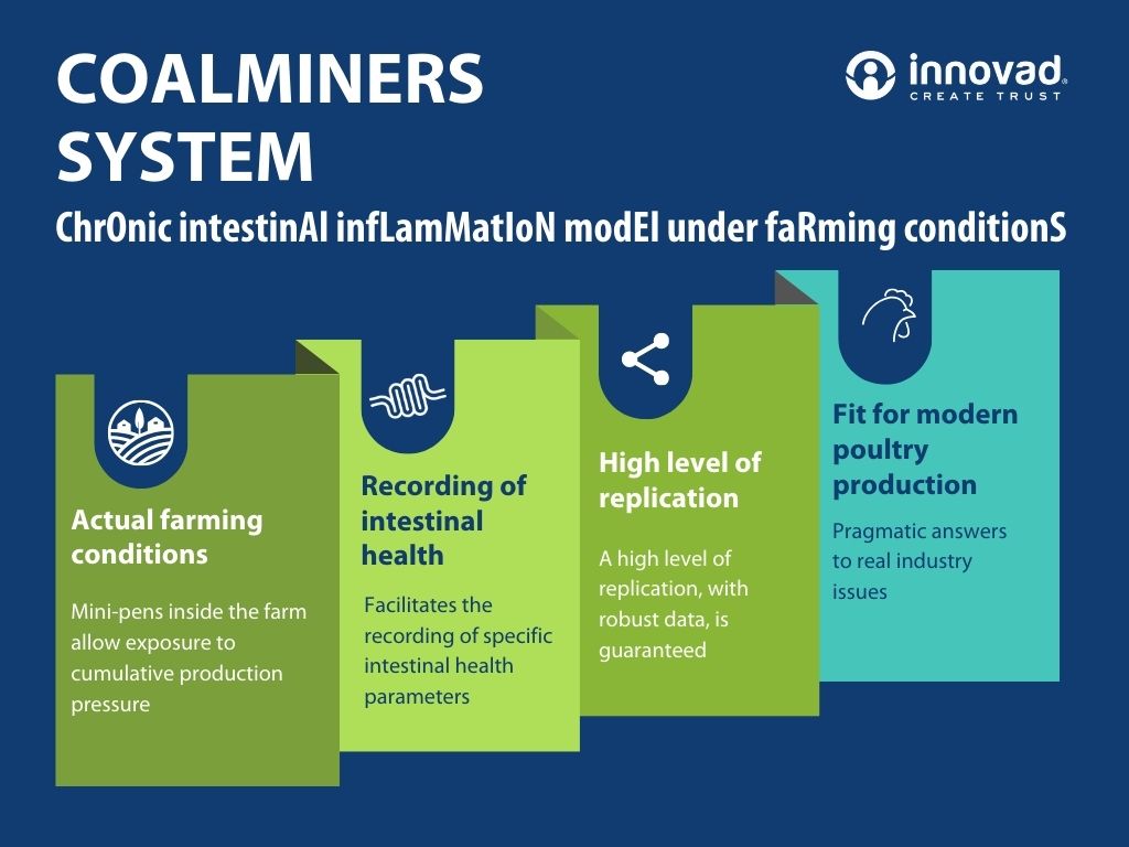 COALMINERS model tackles chronic intestinal inflammation under real ...