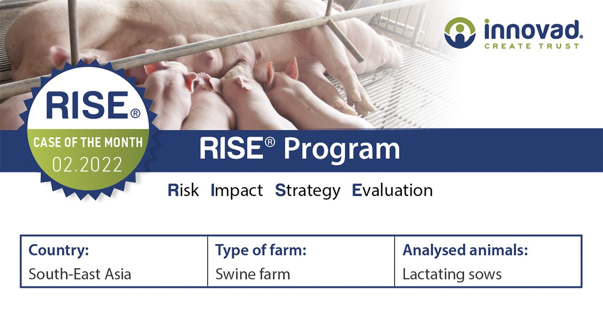 Programa RISE®: Caso del mes | Innovad